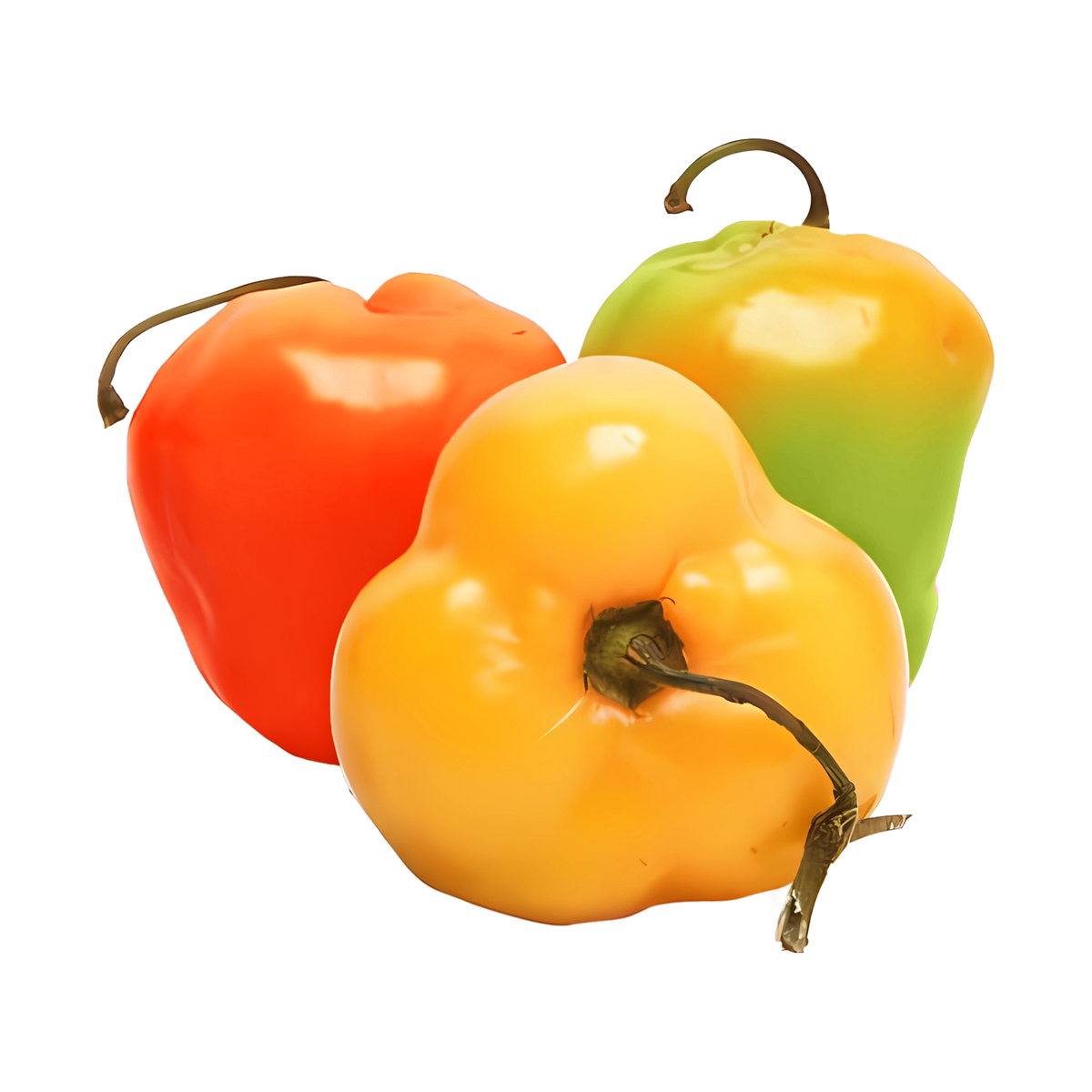 Chile Perón – Súper La Violeta