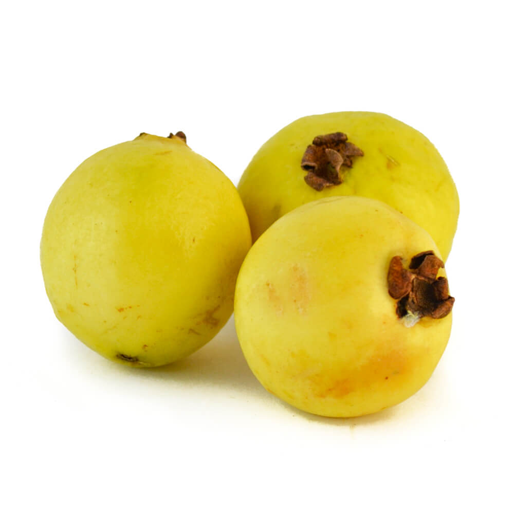 Guayaba – Súper La Violeta